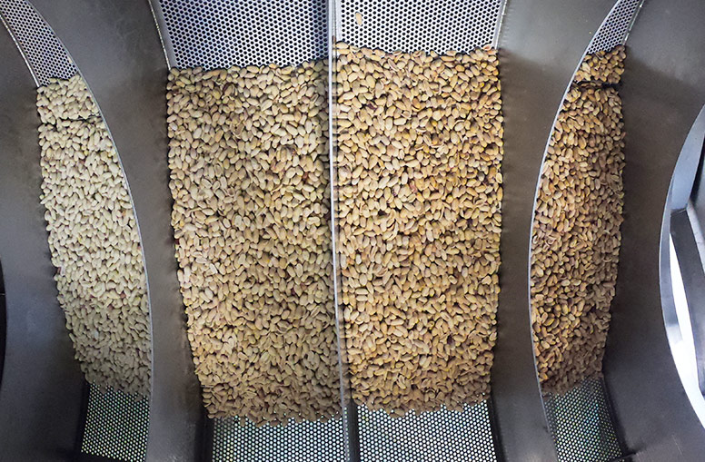 Rotary Dryer Roaster | Heat and Control