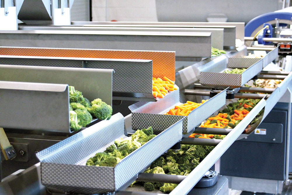 FastBack: Industrial Conveying & Seasoning Equipment