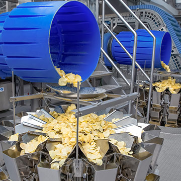 Seasoning Application Systems | On-Machine Seasoning