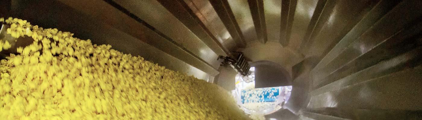 Continuous Seasoning Application Solutions | Heat and Control