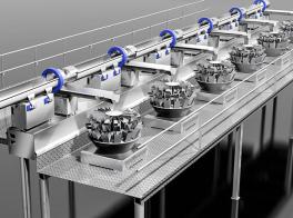 Ishida Total Packaging System (iTPS) | Heat and Control
