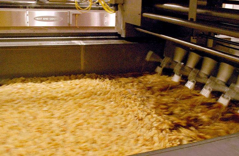 Batch Fryer | Heat and Control